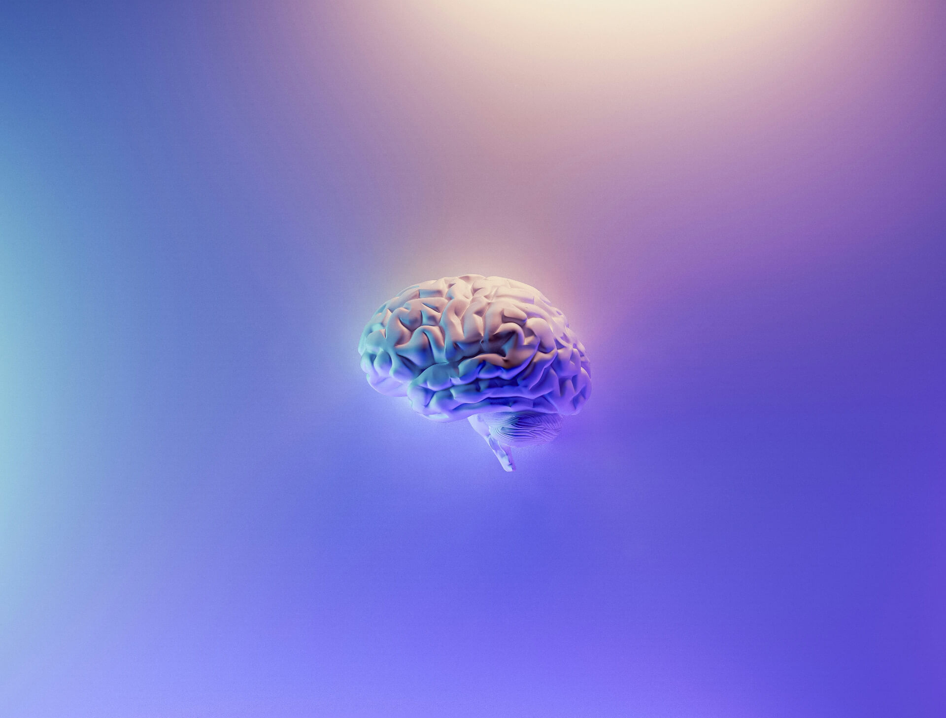 Cognitive Load: Neuroscience of Mental Performance | ChronoCal Blog