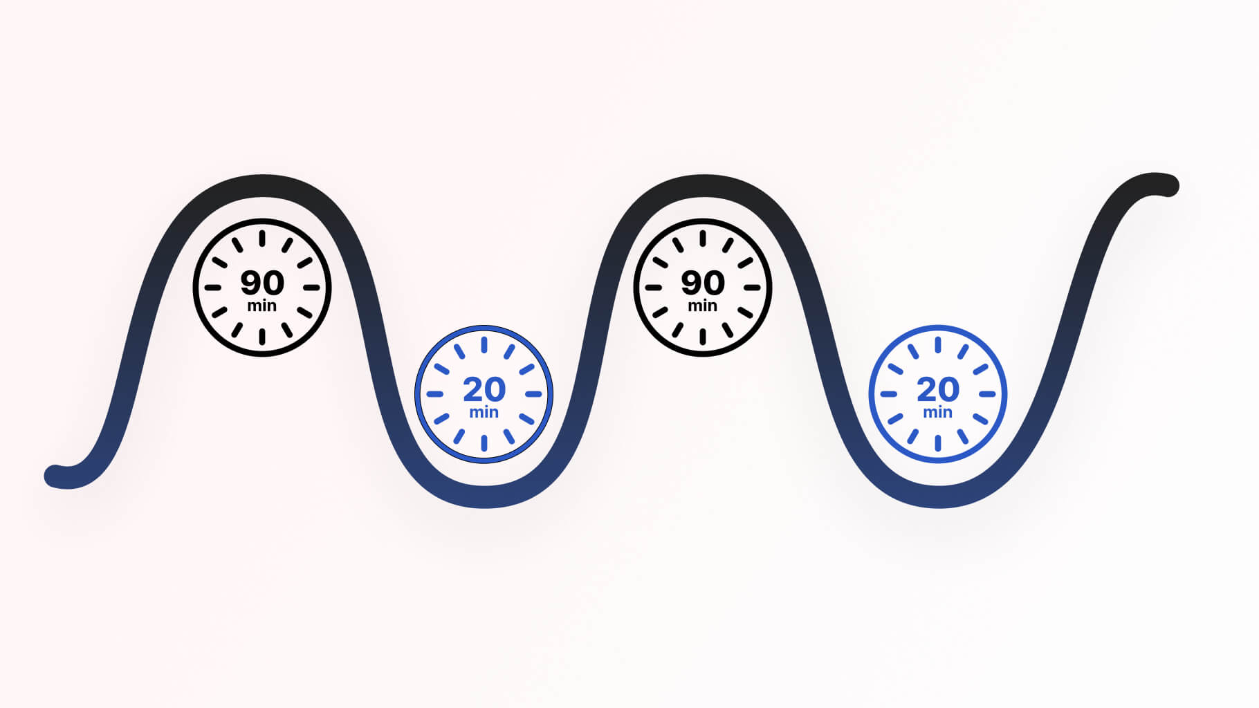Ultradian Rhythms: Your Daily Energy Cycle Science | ChronoCal Blog